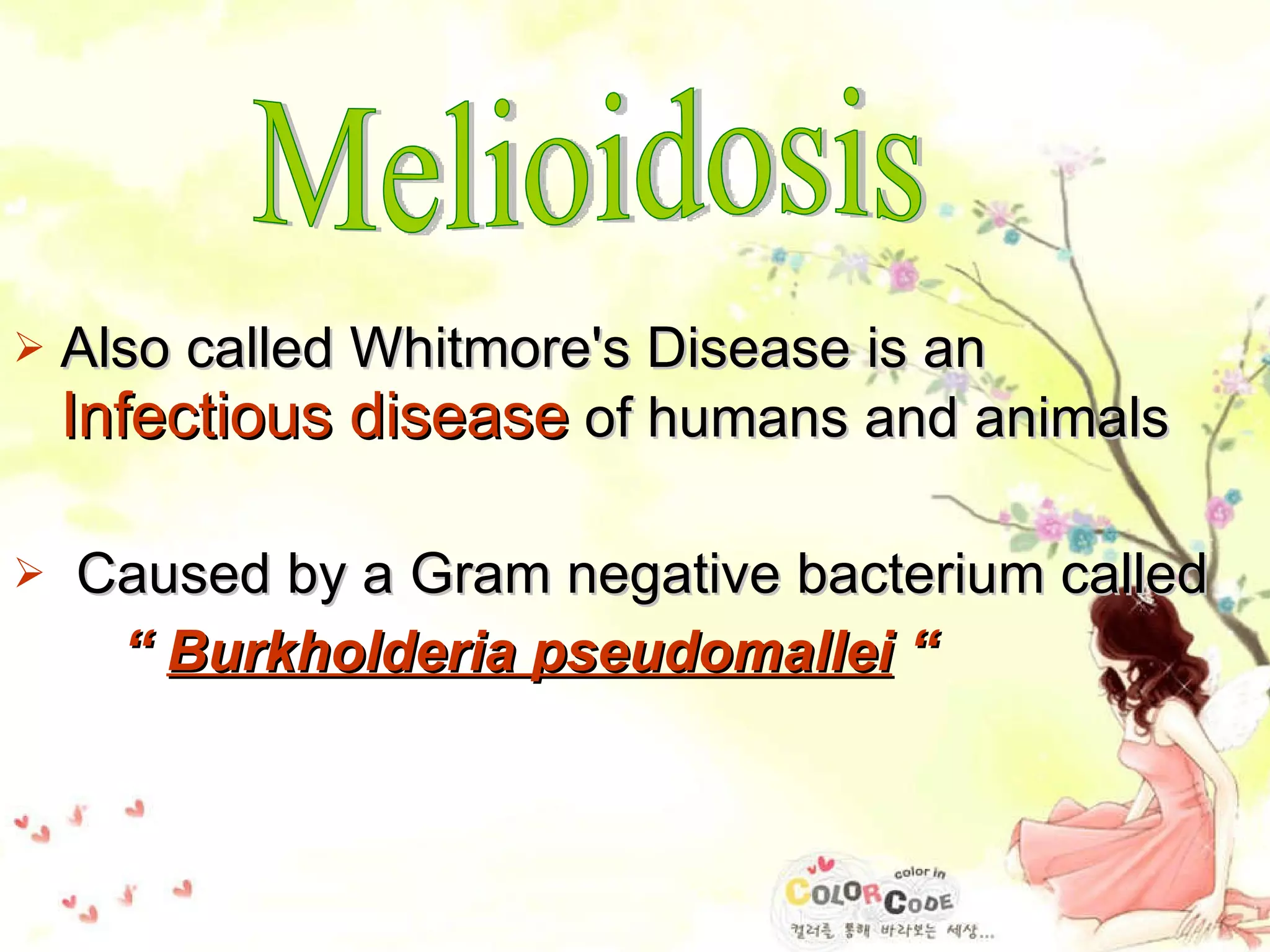 Melioidosis | PPT