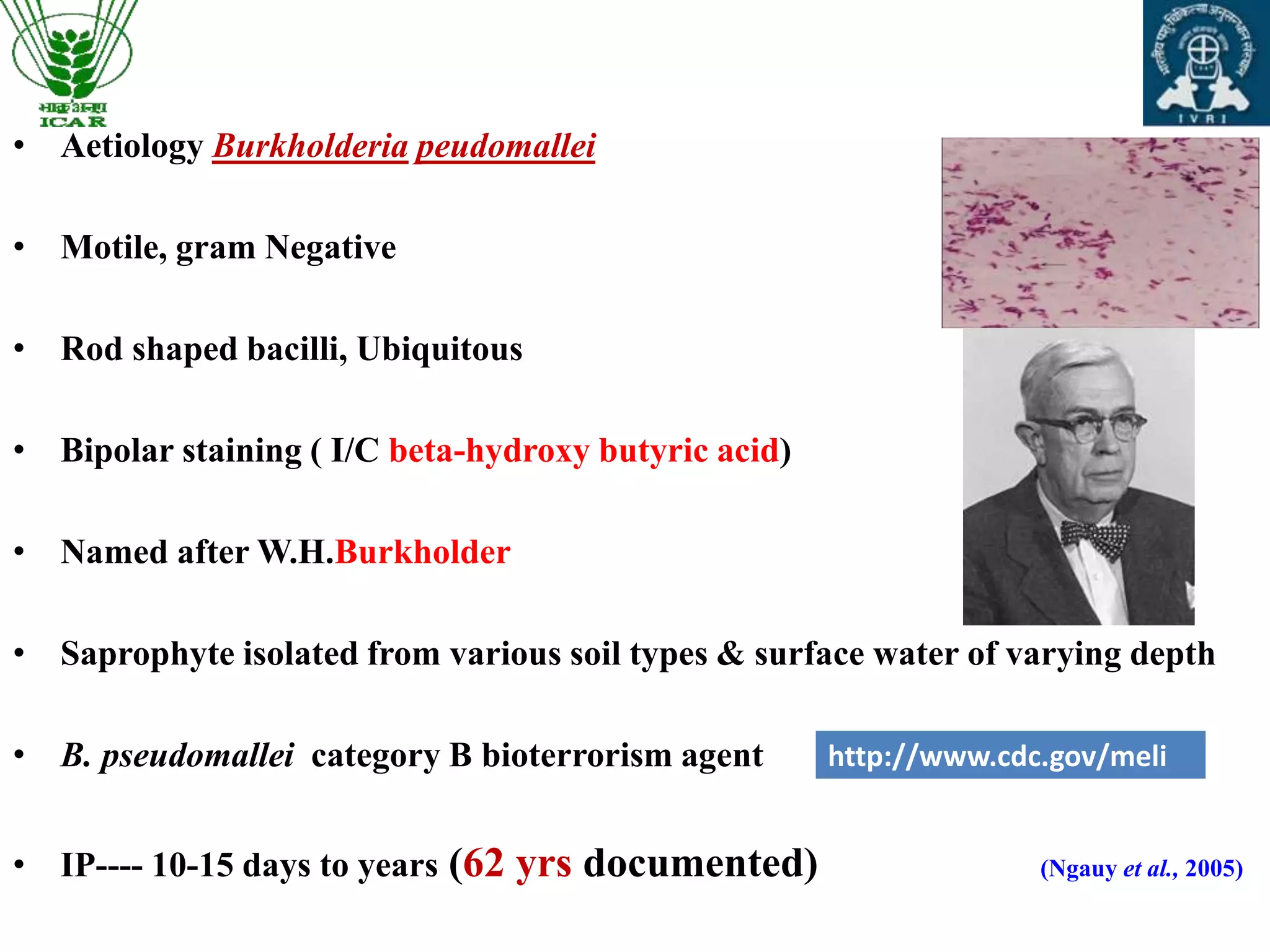 Melioidosis an overview | PPTX