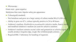 Melioidosis presentation | PPTX