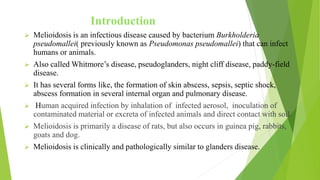 Melioidosis presentation | PPTX