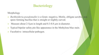 Melioidosis presentation | PPTX