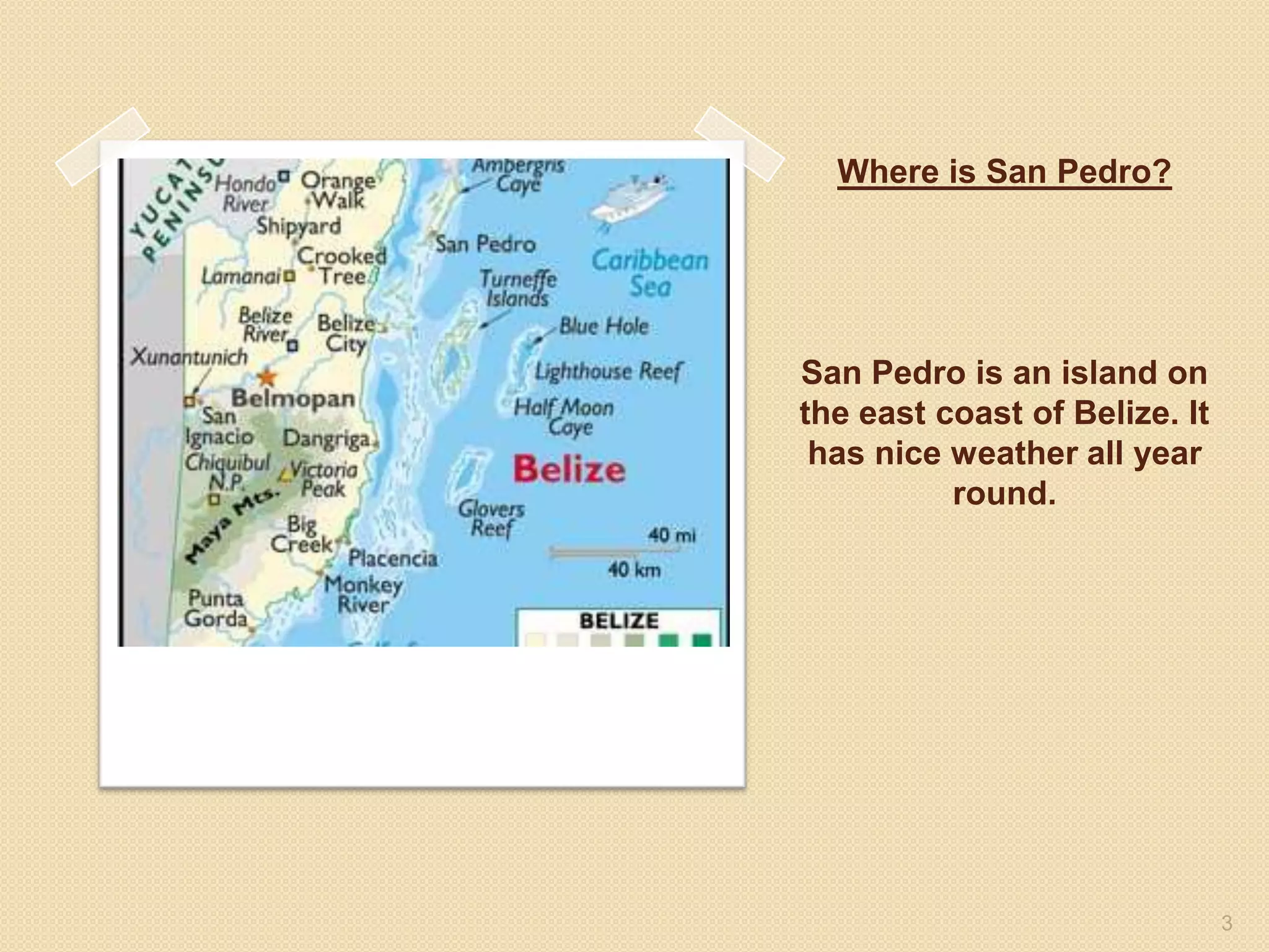 Melissa Hernandez Spring Break | PPTX