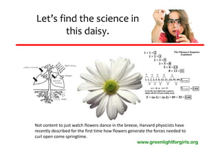 Melissa Rancourt - Keynote presentation | PDF