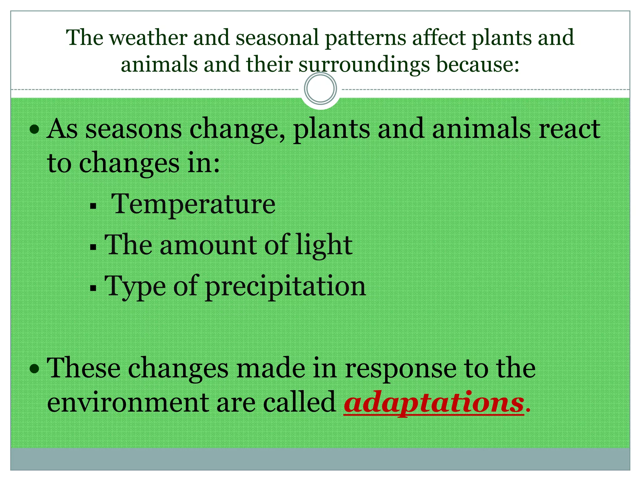 Melissa southern weather and seasonal changes | PPTX