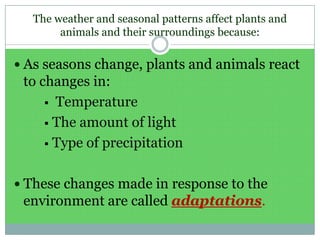 Melissa southern weather and seasonal changes | PPTX