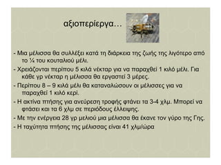 Οι μέλισσες | PPT