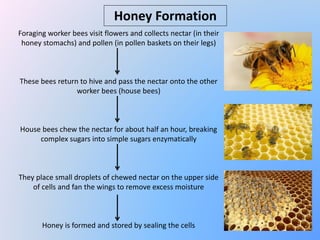 Melissopalynology honey (priyanka uniyal) | PPTX