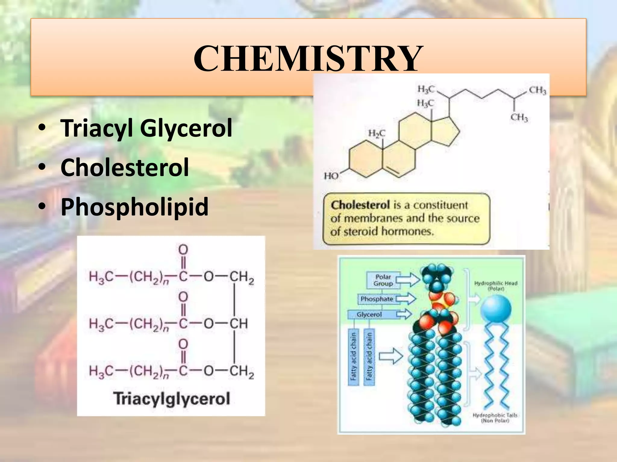 MELLSS yr1 biochemistry lipid | PPTX