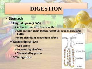 MELLSS yr1 biochemistry lipid | PPT