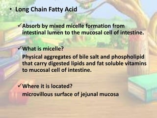 MELLSS yr1 biochemistry lipid | PPT