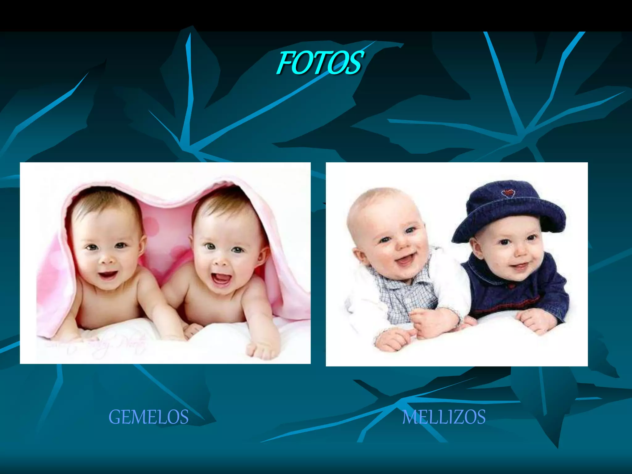 Mellizos y gemelos | PPTX
