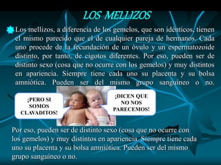 Mellizos y gemelos | PPTX