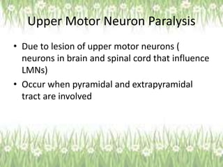 MELLSS yr1 physiology paralysis | PPTX