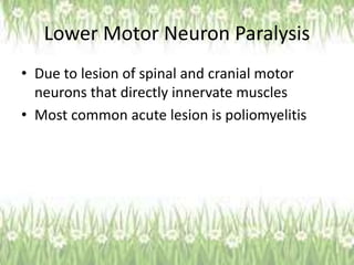 MELLSS yr1 physiology paralysis | PPT