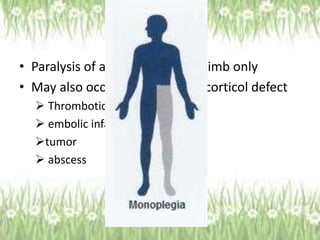MELLSS yr1 physiology paralysis | PPTX
