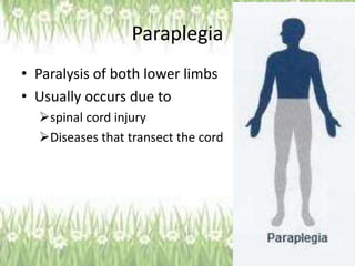 MELLSS yr1 physiology paralysis | PPTX