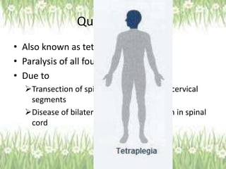 MELLSS yr1 physiology paralysis | PPT