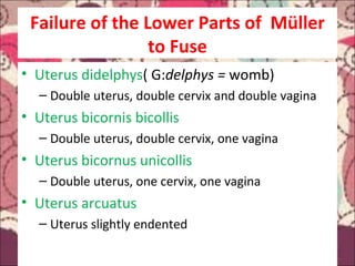 Mellss anomalies of uterus | PPT