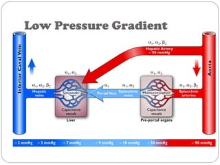 Mellss yr5 surgery portal hypertension intro | PPT