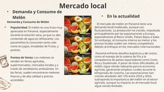Producción de melon nombre científico Cucumis melo enpanamá | PPTX