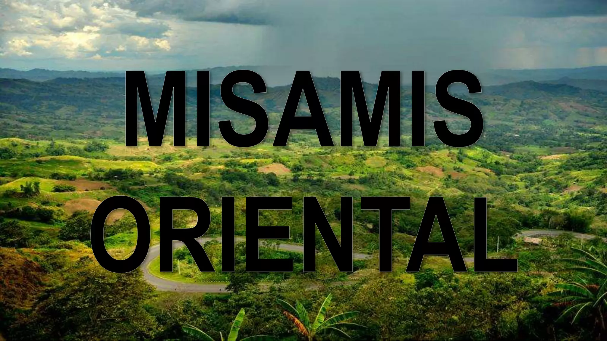 REGION 10: NORTHERN MINDANAO | PPTX