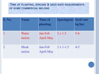 Organic production Of cucurbit : Melon crops | PPTX