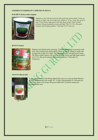 Melon guide | PDF