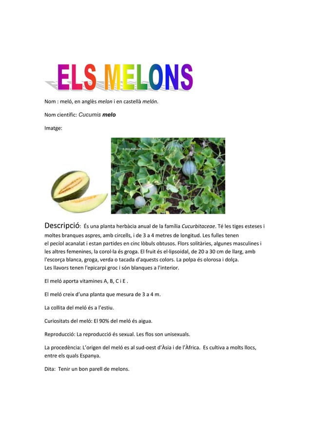 Melons | PDF