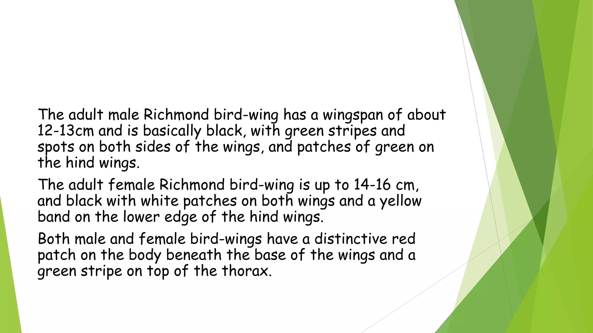 Mel's blo gpowerpoint presentation | PPT