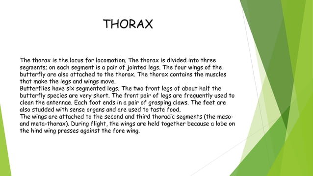 Mel's blo gpowerpoint presentation | PPT