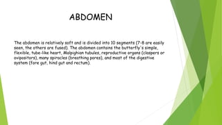 Mel's blog: powerpoint presentation | PPT