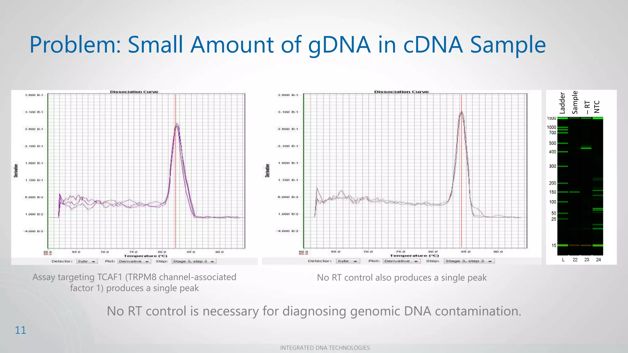 Understanding Melt Curves for Improved SYBR® Green Assay Analysis and ...
