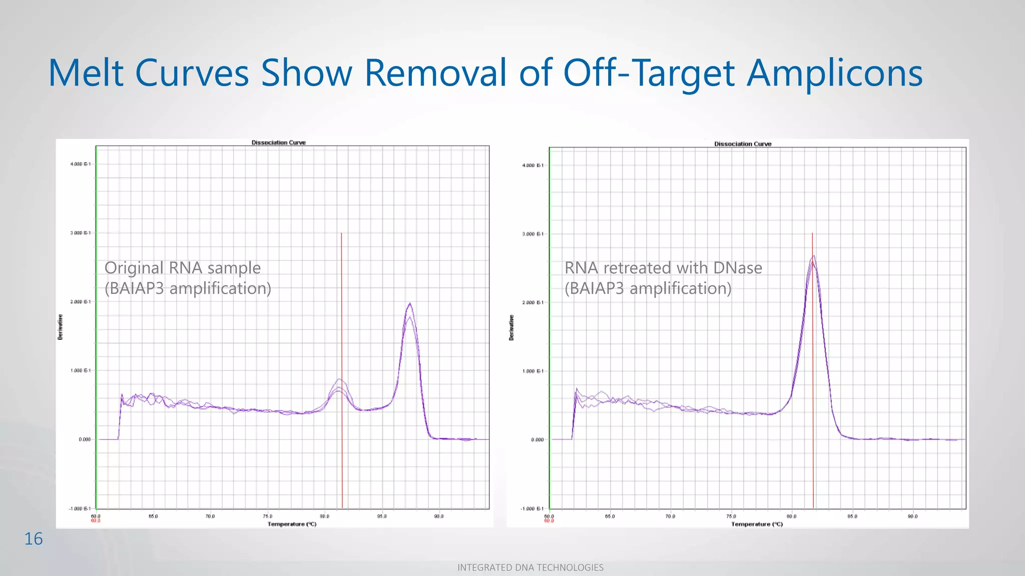 Understanding Melt Curves for Improved SYBR® Green Assay Analysis and ...