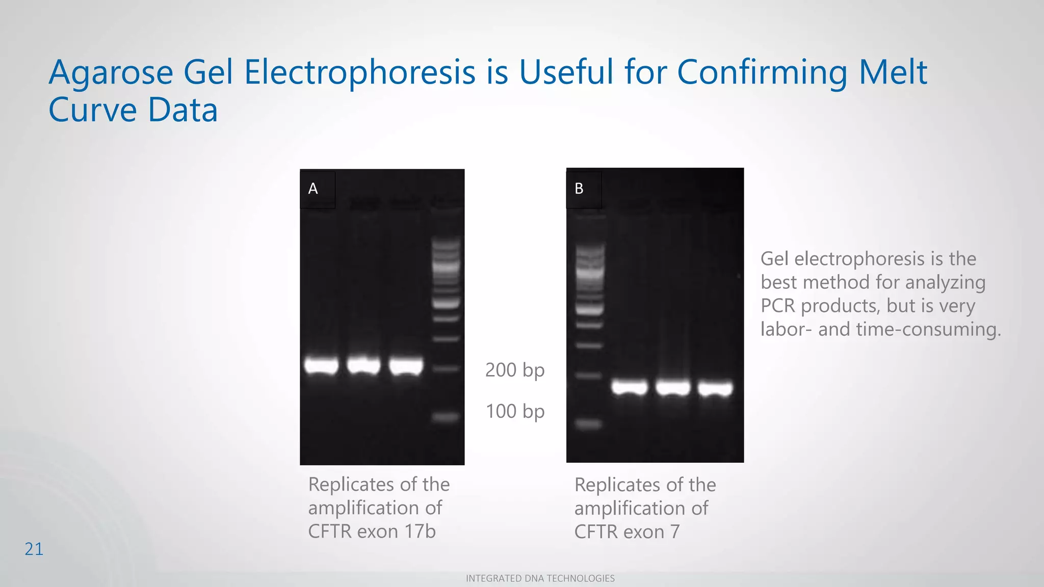 Understanding Melt Curves for Improved SYBR® Green Assay Analysis and ...