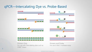 Understanding Melt Curves for Improved SYBR® Green Assay Analysis and ...