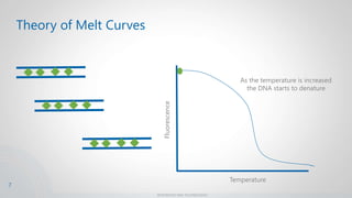 Understanding Melt Curves for Improved SYBR® Green Assay Analysis and ...