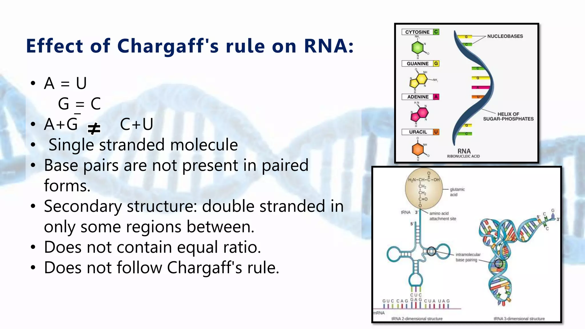 Tm of DNA - melting temperature of DNA | PPTX