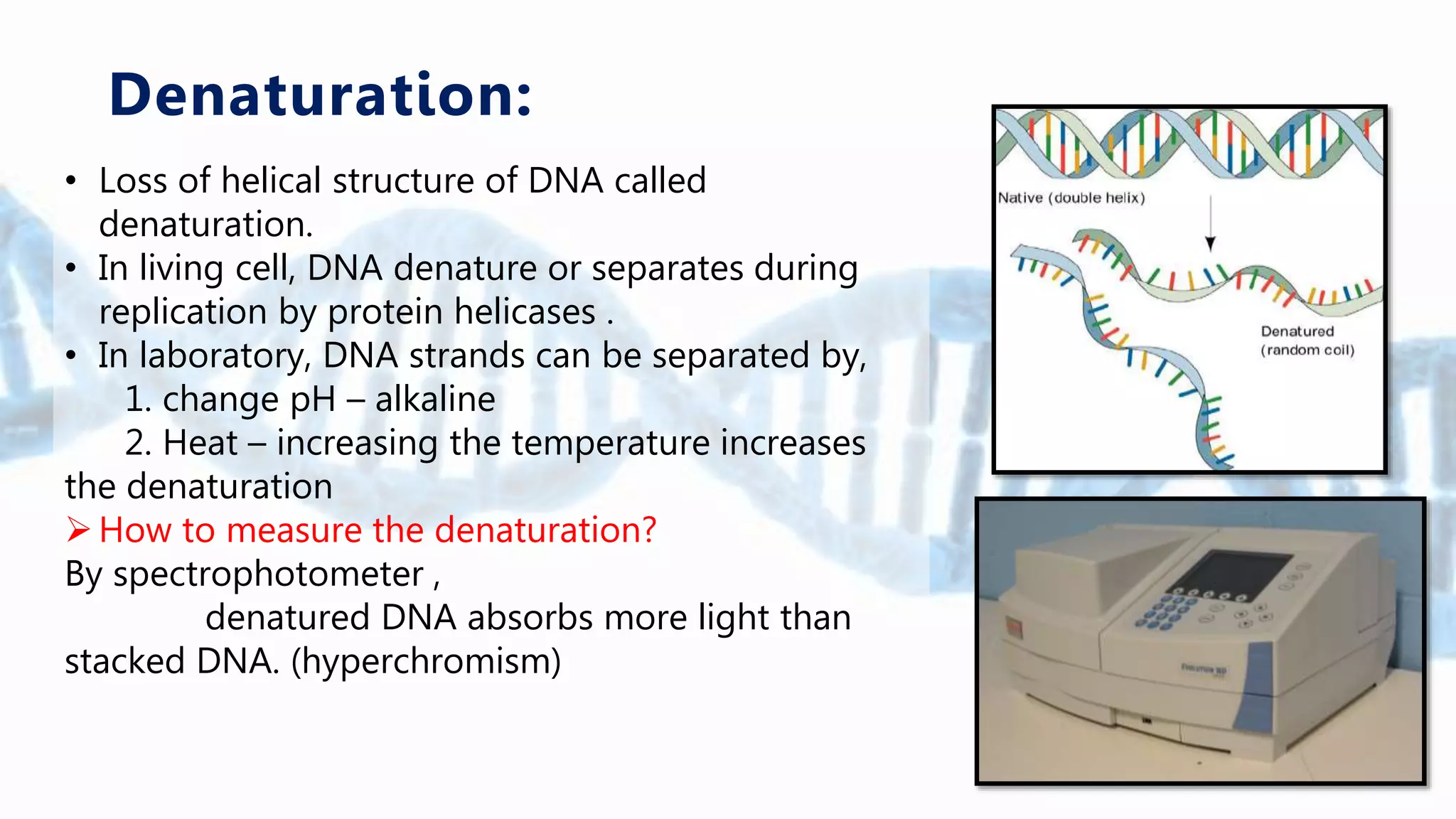 Tm of DNA - melting temperature of DNA | PPTX