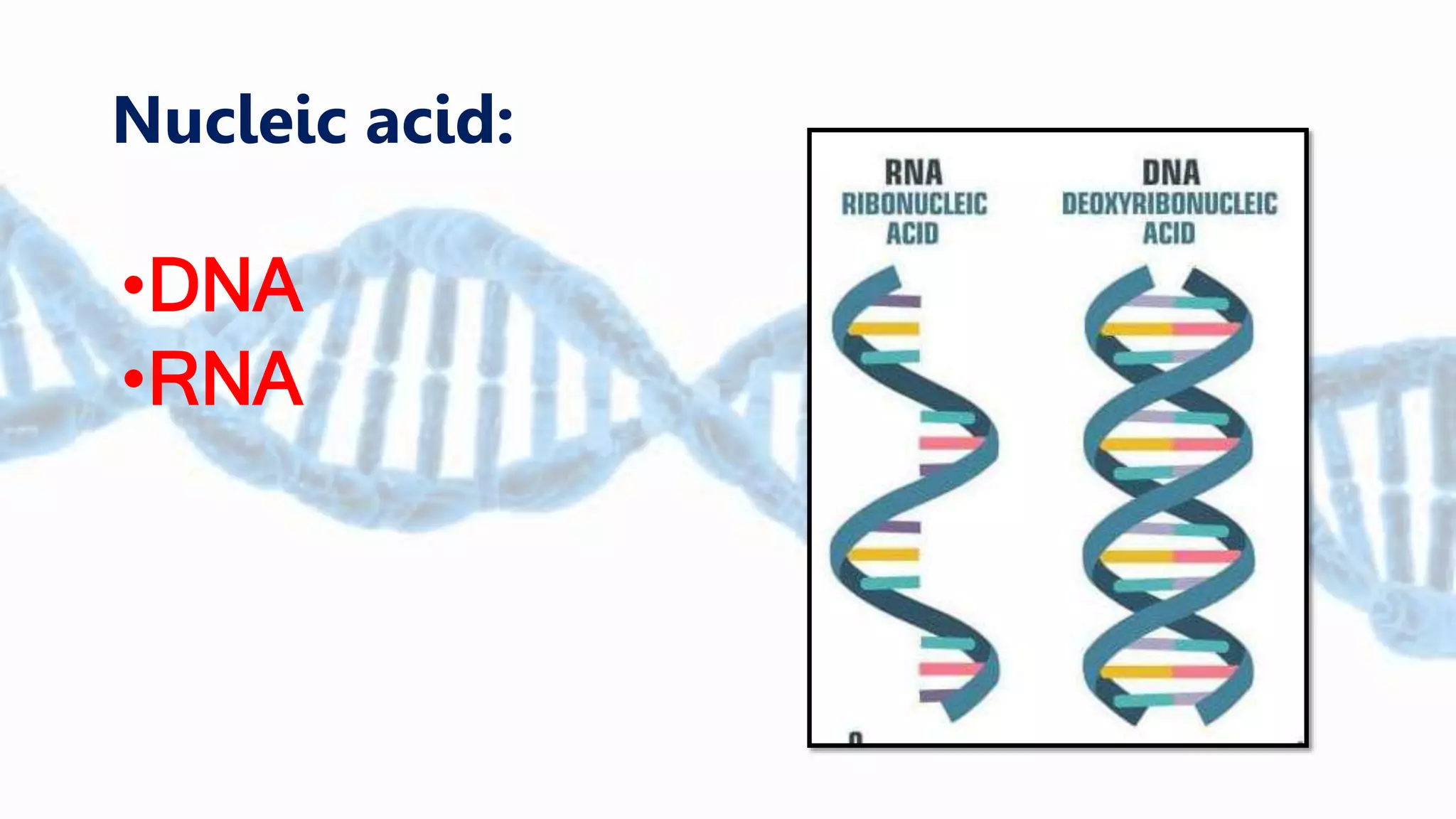 Tm of DNA - melting temperature of DNA | PPTX | Chemistry | Science