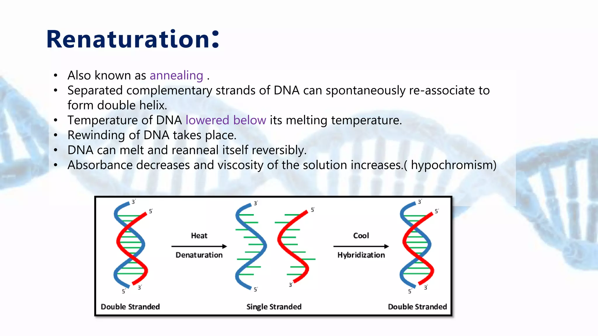 Tm of DNA - melting temperature of DNA | PPTX