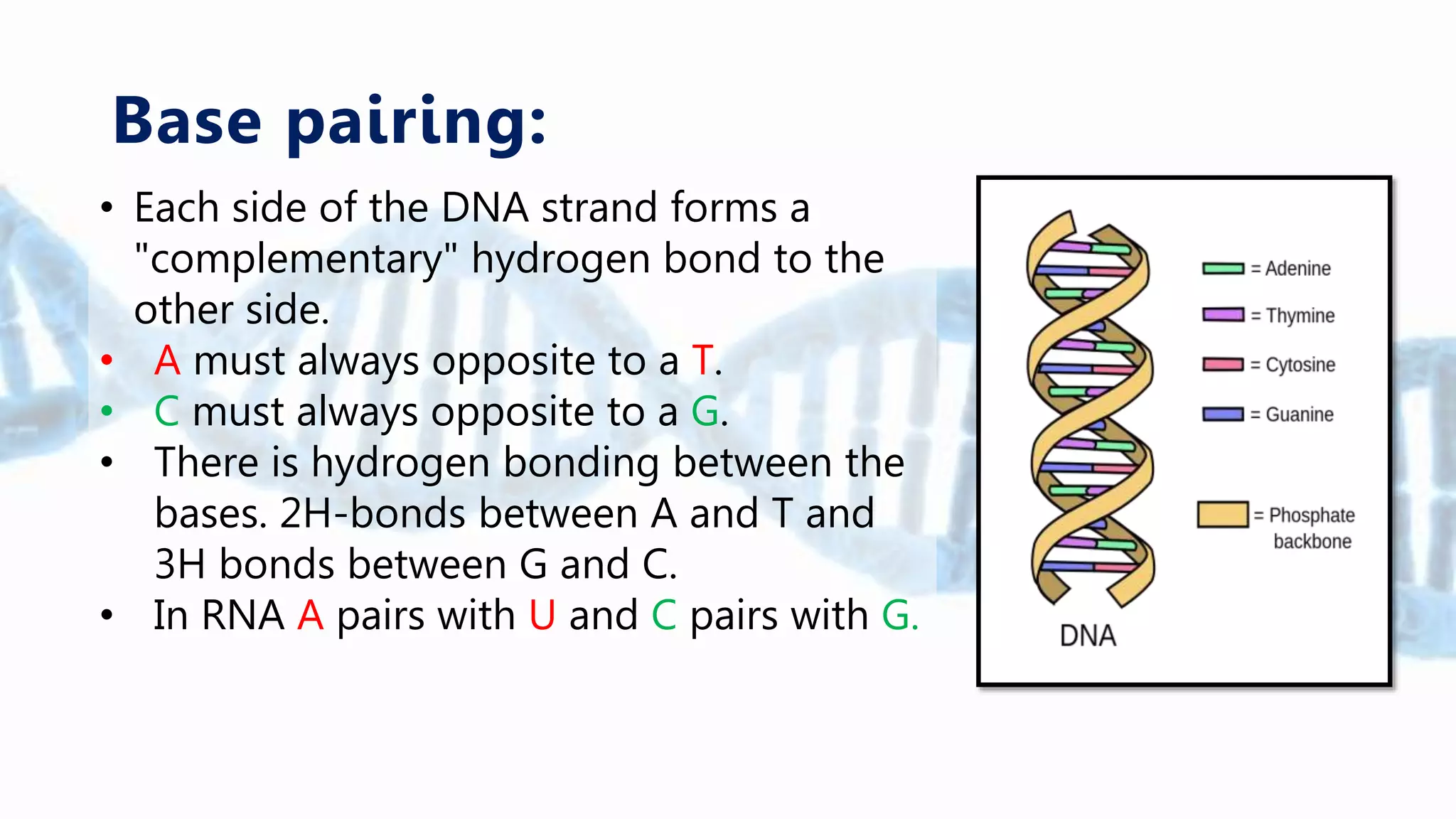 Tm of DNA - melting temperature of DNA | PPTX | Chemistry | Science