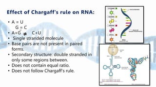 Tm of DNA - melting temperature of DNA | PPTX