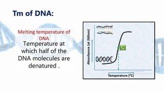 Tm of DNA - melting temperature of DNA | PPTX