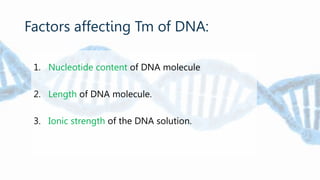 Tm of DNA - melting temperature of DNA | PPTX