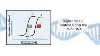 Tm of DNA - melting temperature of DNA | PPTX