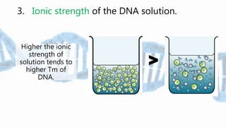 Tm of DNA - melting temperature of DNA | PPTX