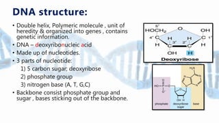 Tm of DNA - melting temperature of DNA | PPTX