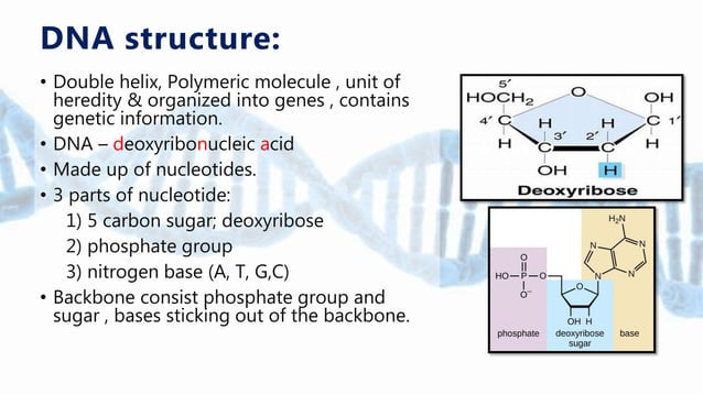 Tm of DNA - melting temperature of DNA | PPTX | Chemistry | Science