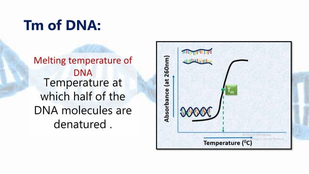 Tm of DNA - melting temperature of DNA