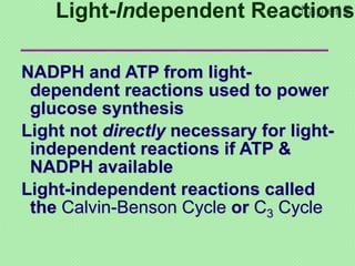 photosynthesis | PPT